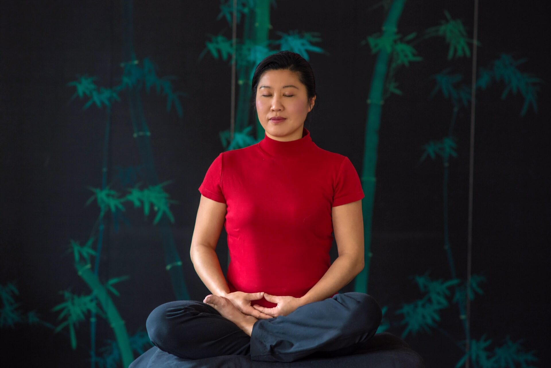 Master Li & Jing – Sheng Zhen Deutschland e.V.